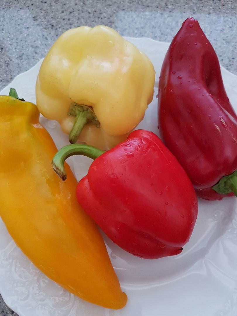 Pečena mediteranska zelenjava s piščancem in kozjim sirčkom | Cook Eat ...